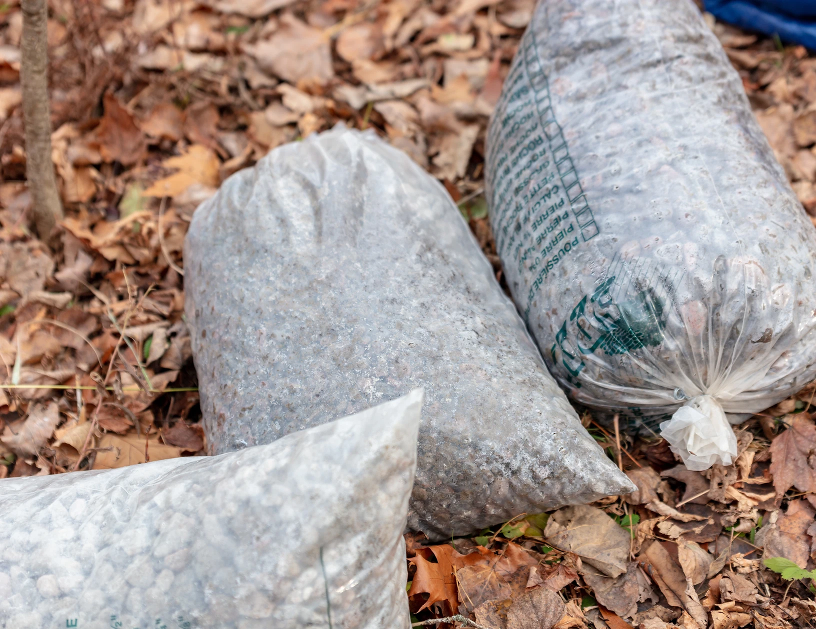 Durable Plastic Bags for Versatile Packaging